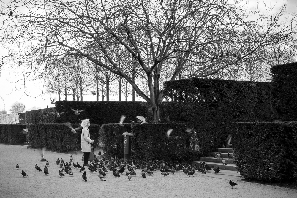 Featured Photographer: Katherine Malm