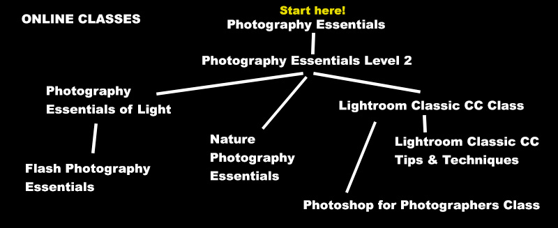 Austin Photography Classes by Kevin Gourley Photography Workshops ...